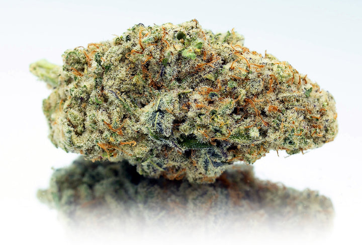 FLOWER – Featured Farms